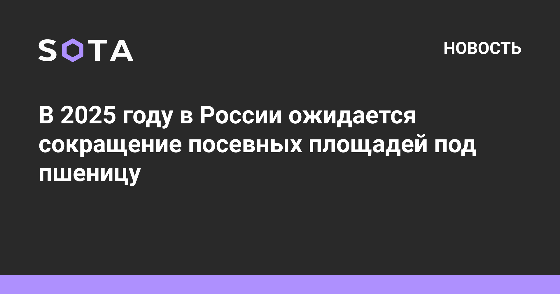 В 2025 году в России ожидается сокращение посевных площадей под пшеницу — SOTA