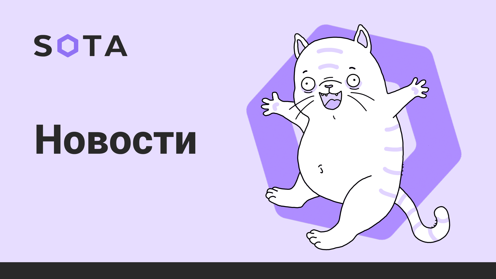 Новости — SOTA